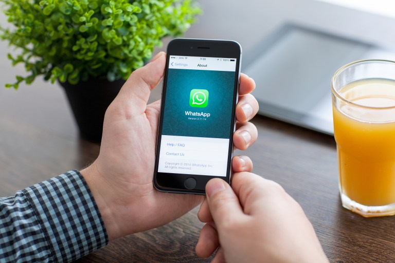 Top Benefits Of Building Flows With WhatsApp Platform – Moobidesk